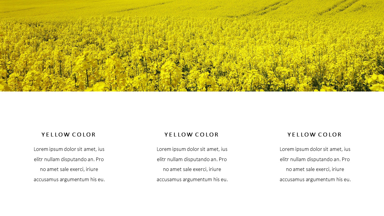Yellow Spectrum Creative Google Slides|Lifestyle