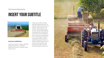 Farming & Harvesting Best PowerPoint Presentation Templates|Lifestyle