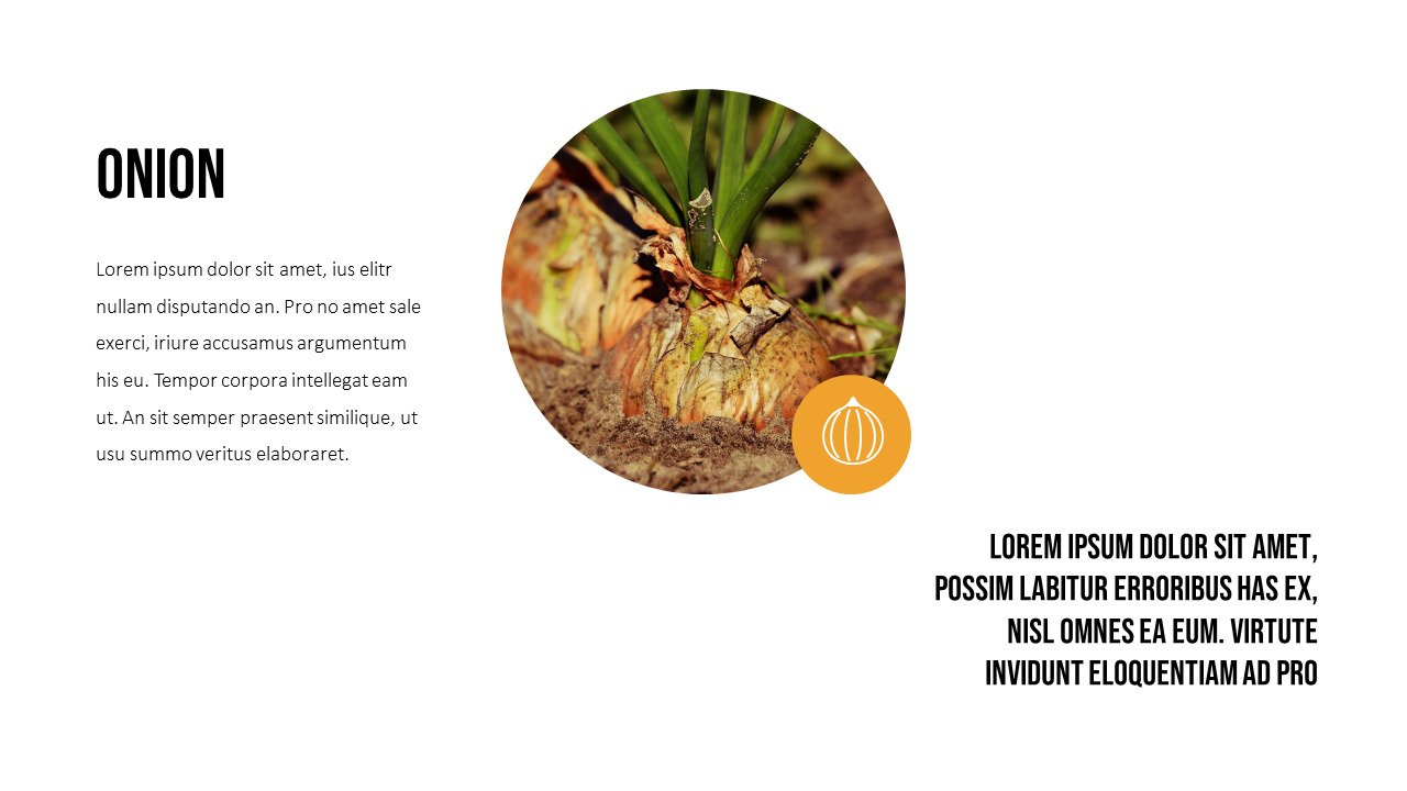 Root Vegetable Powerpoint Presentation|Lifestyle|Templates