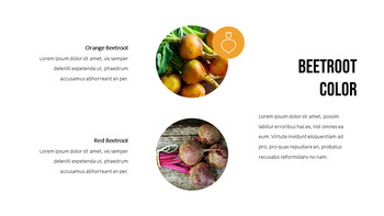 Root Vegetable Powerpoint Presentation|Lifestyle|Templates
