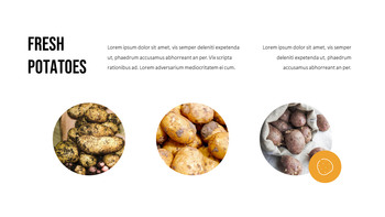 Root Vegetable Powerpoint Presentation|Lifestyle|Templates