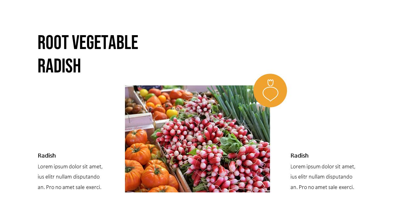 Root Vegetable Powerpoint Presentation|Lifestyle|Templates