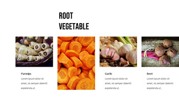 Root Vegetable Powerpoint Presentation|Lifestyle|Templates