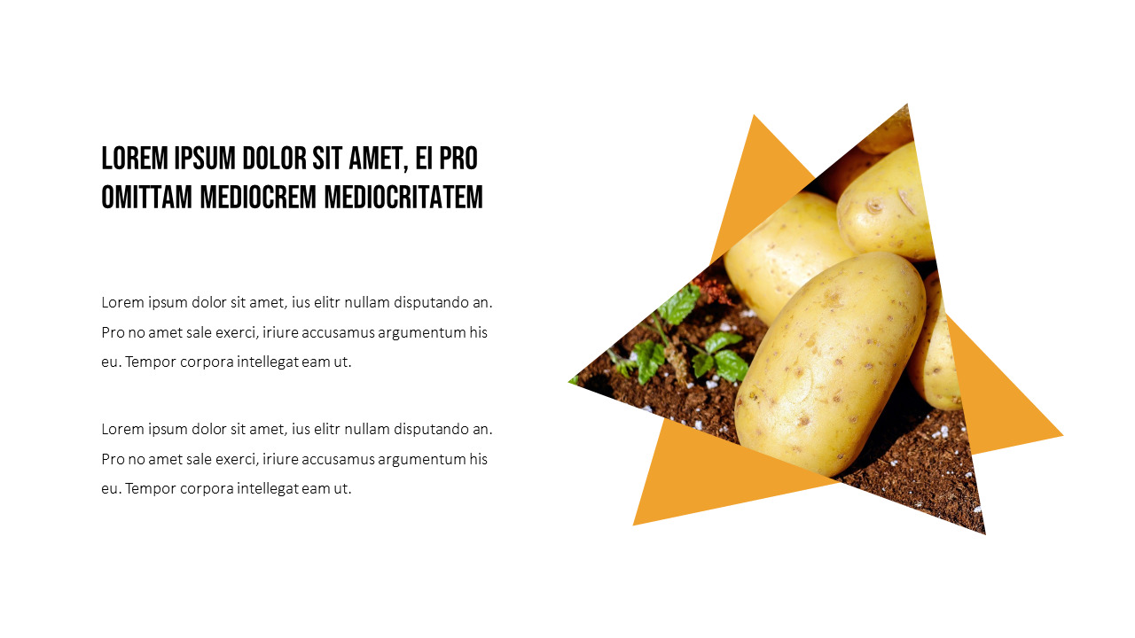 Root Vegetable Powerpoint Presentation|Lifestyle|Templates