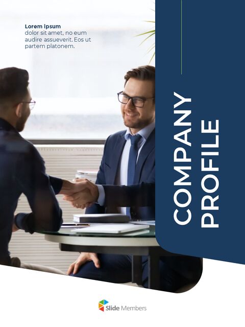 Company Profile Vertical Presentation Format
