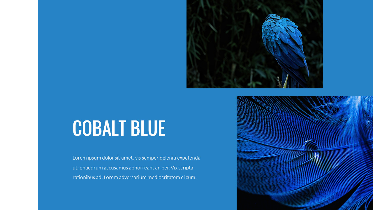 Blue Spectrum Google Presentation Slides|Lifestyle