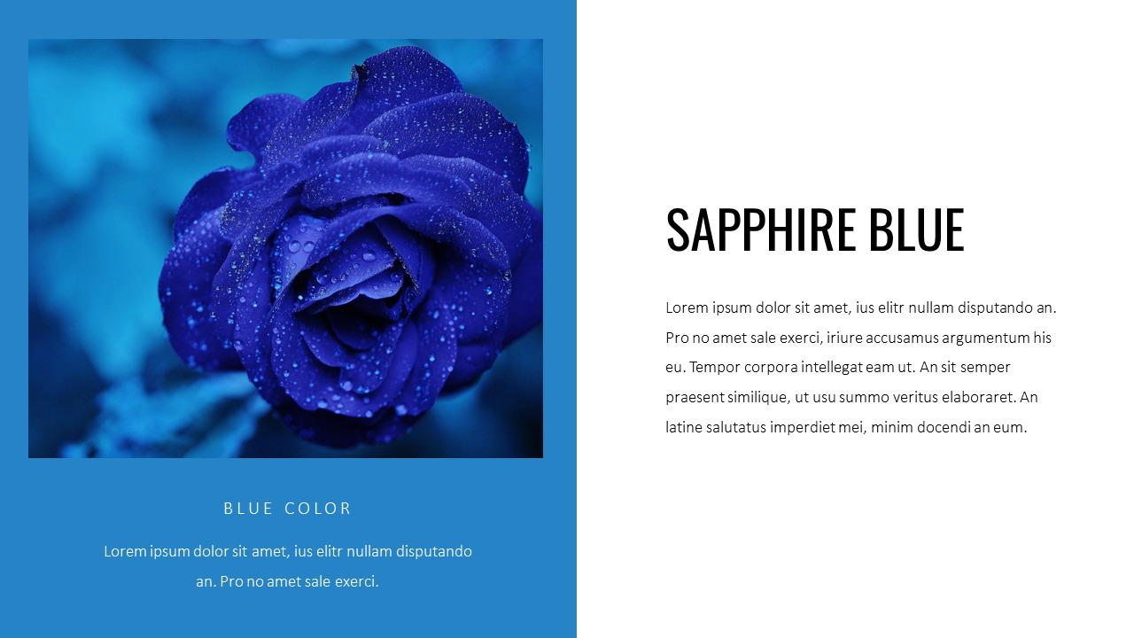 Blue Spectrum Google Presentation Slides|Lifestyle