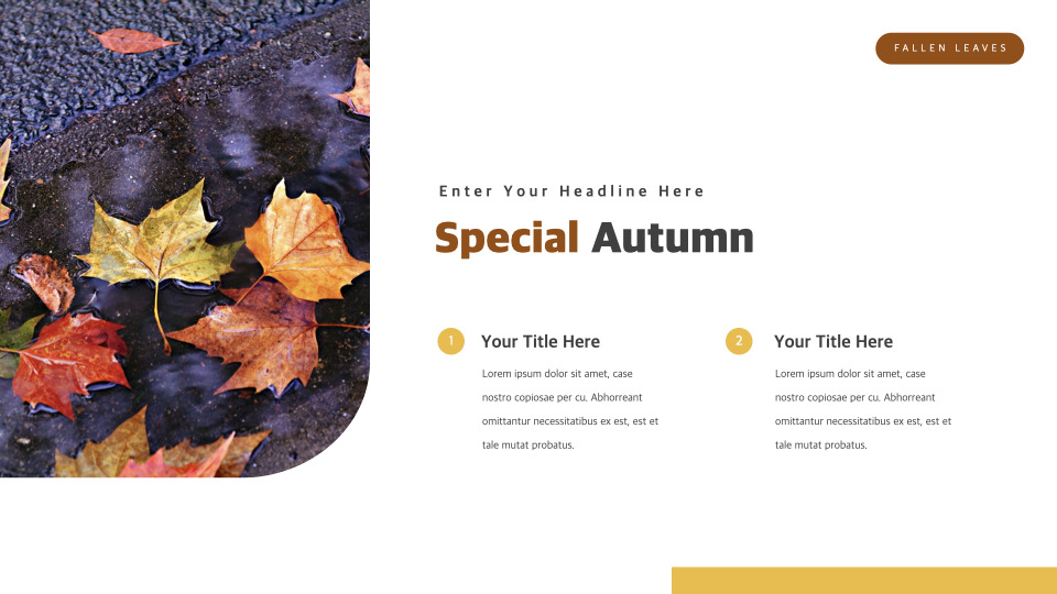 fallen leaves Keynote Examples|Lifestyle