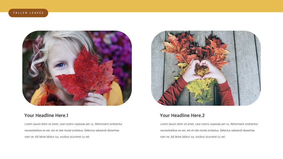 fallen leaves Keynote Examples|Lifestyle