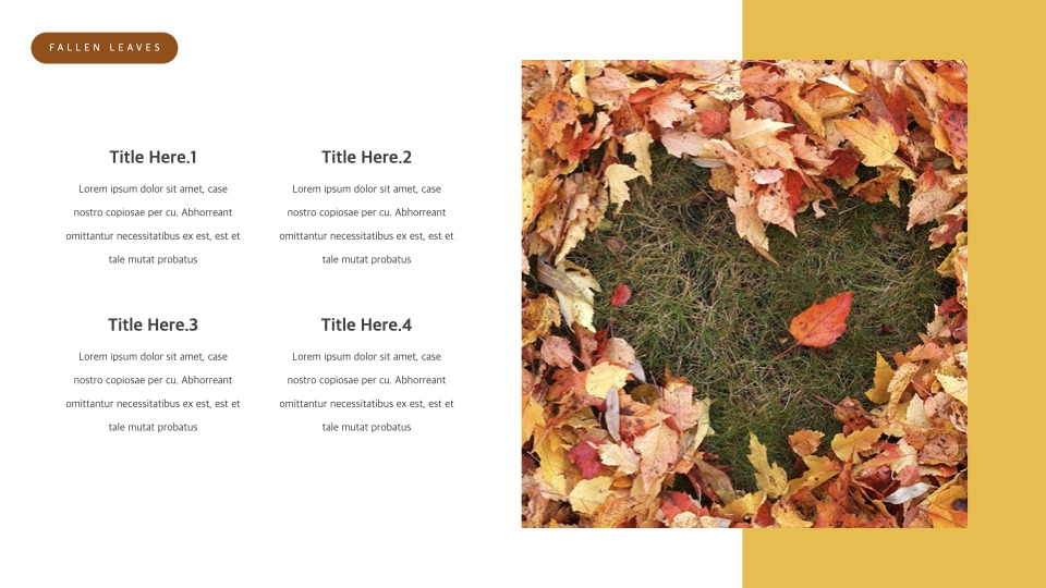 fallen leaves Keynote Examples|Lifestyle