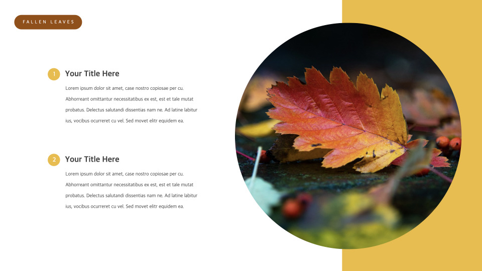 fallen leaves Keynote Examples|Lifestyle