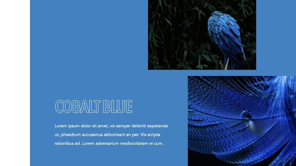 Blue Spectrum Keynote Templates for Creatives|Lifestyle
