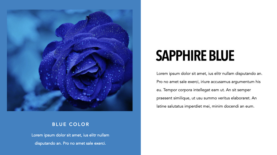 Blue Spectrum Keynote Templates for Creatives|Lifestyle