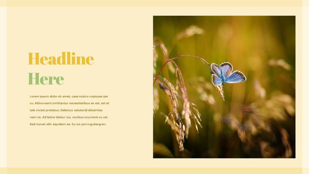 Butterfly PowerPoint Design ideas|Lifestyle|Templates