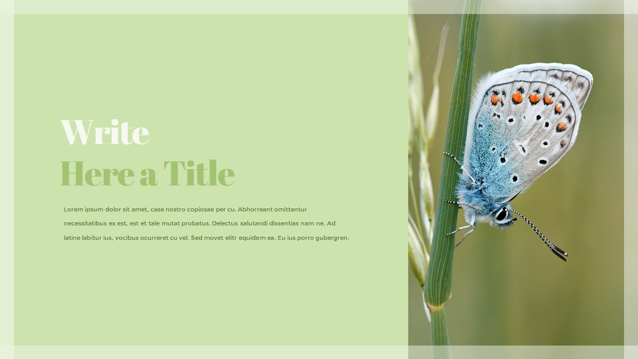 Butterfly PowerPoint Design ideas|Lifestyle|Templates