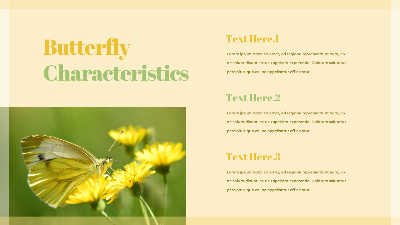Butterfly PowerPoint Design ideas|Lifestyle|Templates