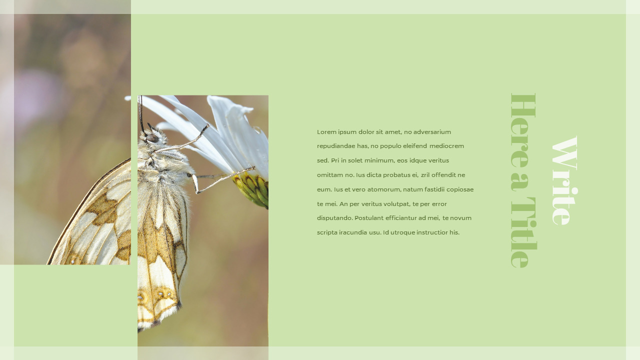 Butterfly PowerPoint Design ideas|Lifestyle|Templates