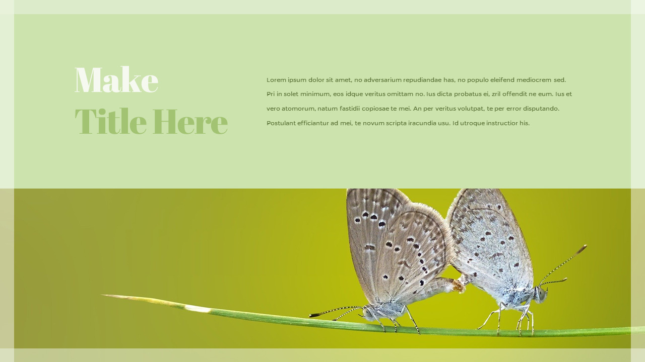 Butterfly PowerPoint Design ideas|Lifestyle|Templates