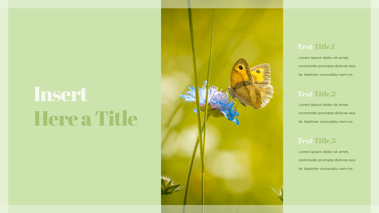 Butterfly PowerPoint Design ideas|Lifestyle|Templates