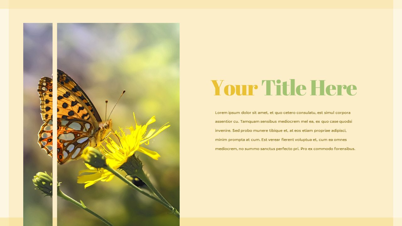 Butterfly PowerPoint Design ideas|Lifestyle|Templates