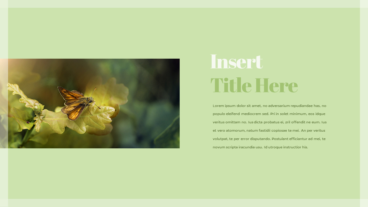 Butterfly PowerPoint Design ideas|Lifestyle|Templates