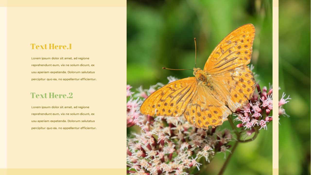 Butterfly PowerPoint Design ideas|Lifestyle|Templates