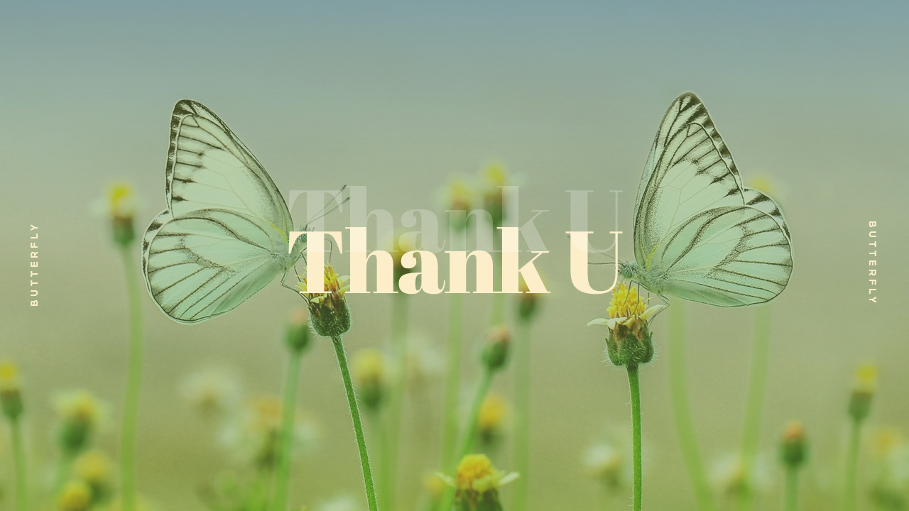 Butterfly PowerPoint Design ideas|Lifestyle|Templates