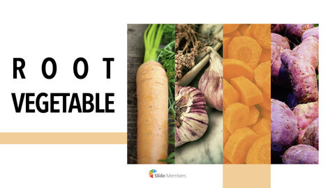Root Vegetable PPT Keynote|Lifestyle