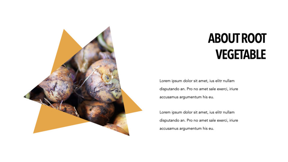 Root Vegetable PPT Keynote|Lifestyle