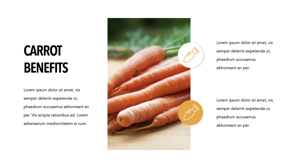 Root Vegetable PPT Keynote|Lifestyle