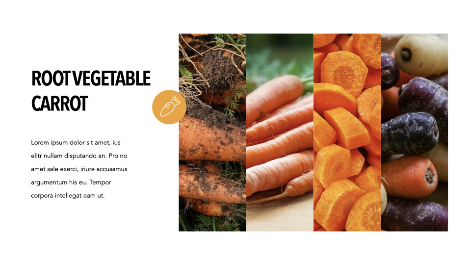 Root Vegetable PPT Keynote|Lifestyle