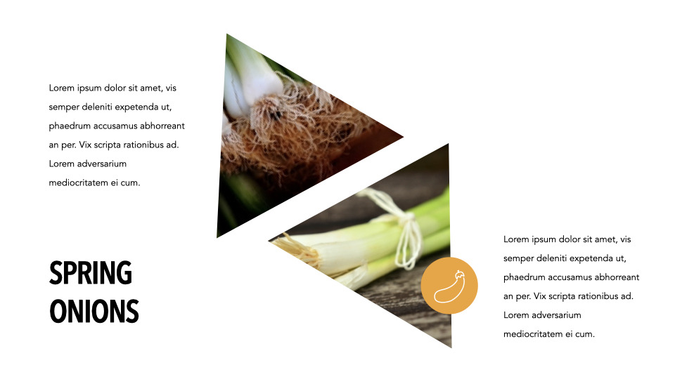 Root Vegetable PPT Keynote|Lifestyle