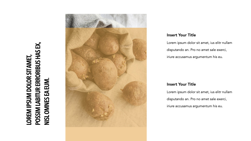 Root Vegetable PPT Keynote|Lifestyle