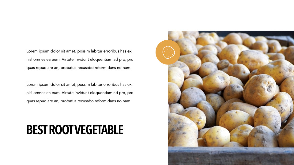 Root Vegetable PPT Keynote|Lifestyle