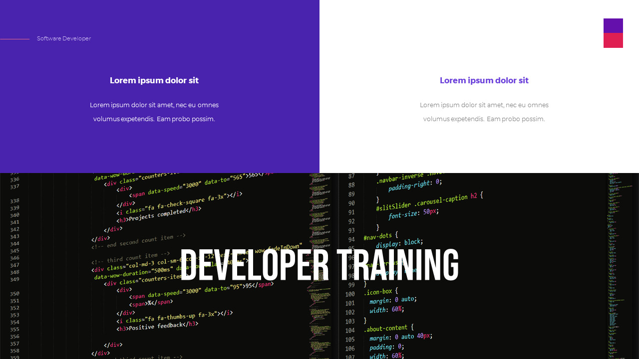 Software Developer Templates PPT