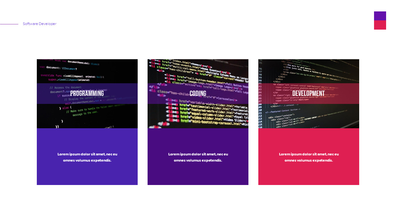 Software Developer Templates PPT