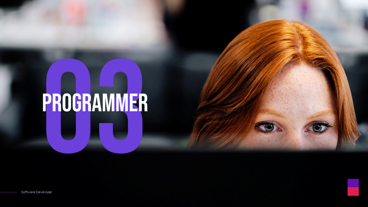 Software Developer Templates PPT