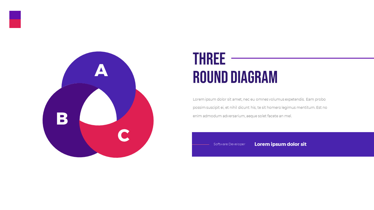 Software Developer Templates PPT