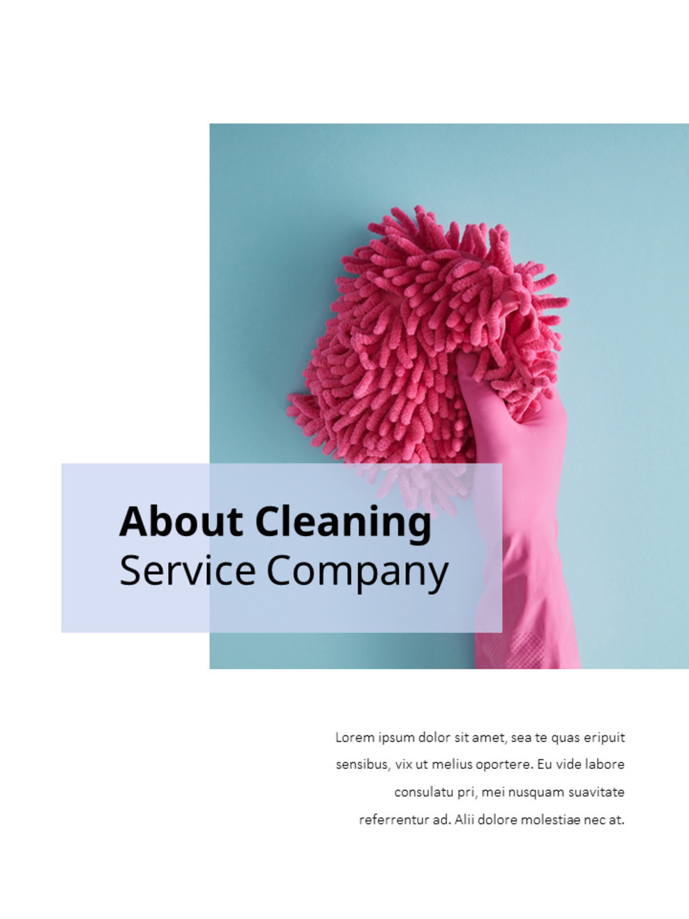 Cleaning Service Company PowerPoint Slides
