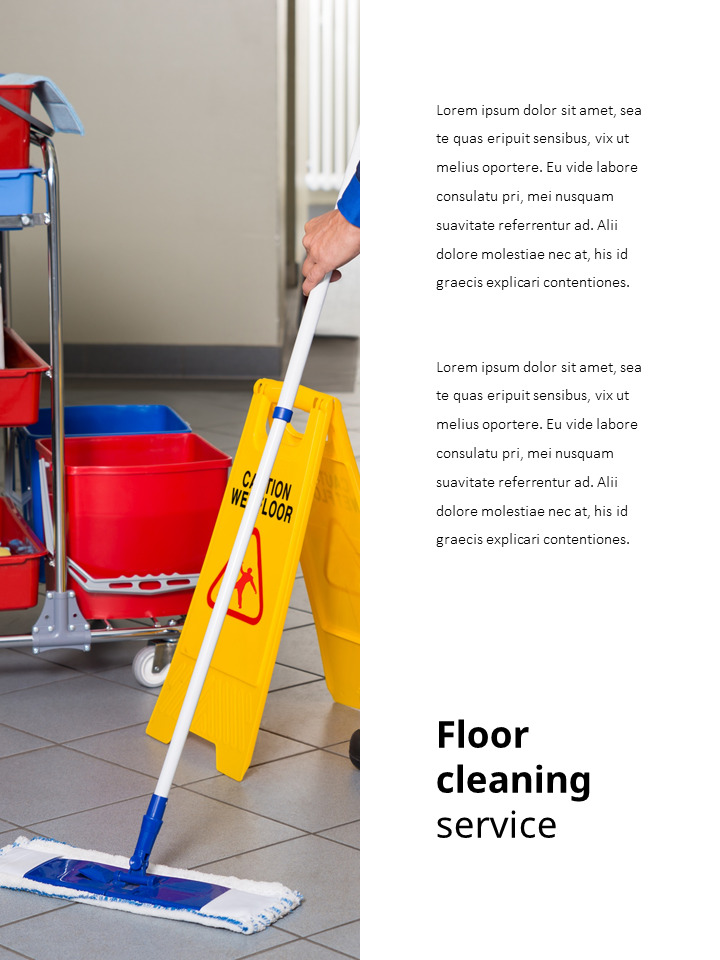 Cleaning Service Company PowerPoint Slides