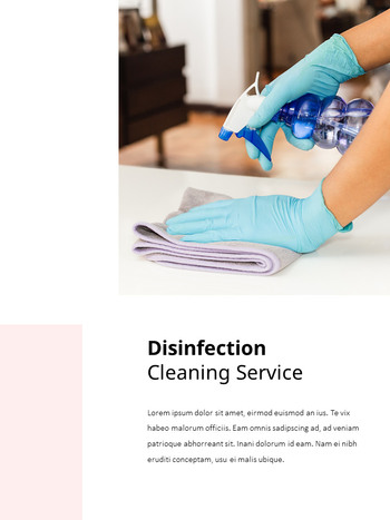 Cleaning Service Company PowerPoint Slides