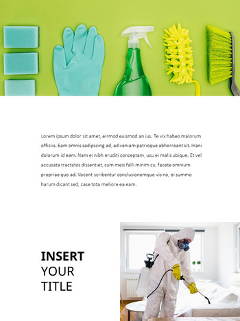 Cleaning Service Company PowerPoint Slides