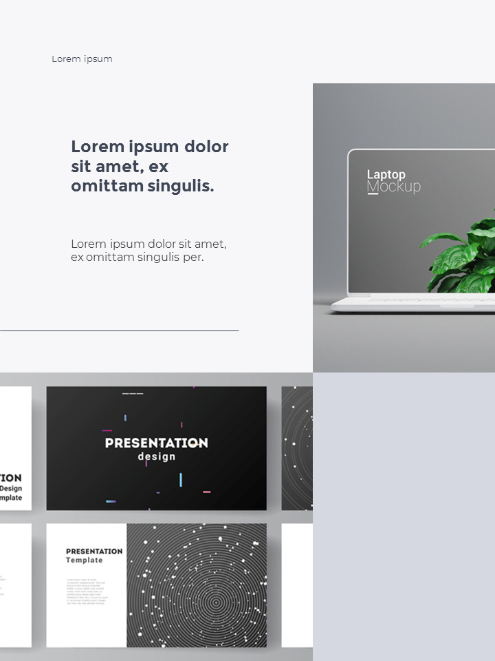 Graphic Design Agency Portfolio Best PowerPoint Presentation