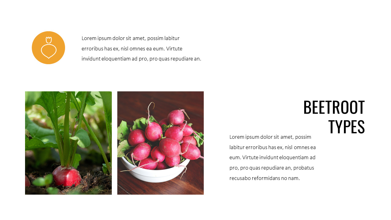 Root Vegetable Google Slides Presentation Templates|Lifestyle