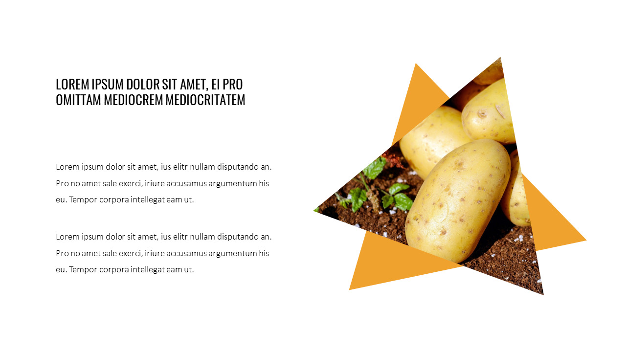 Root Vegetable Google Slides Presentation Templates|Lifestyle
