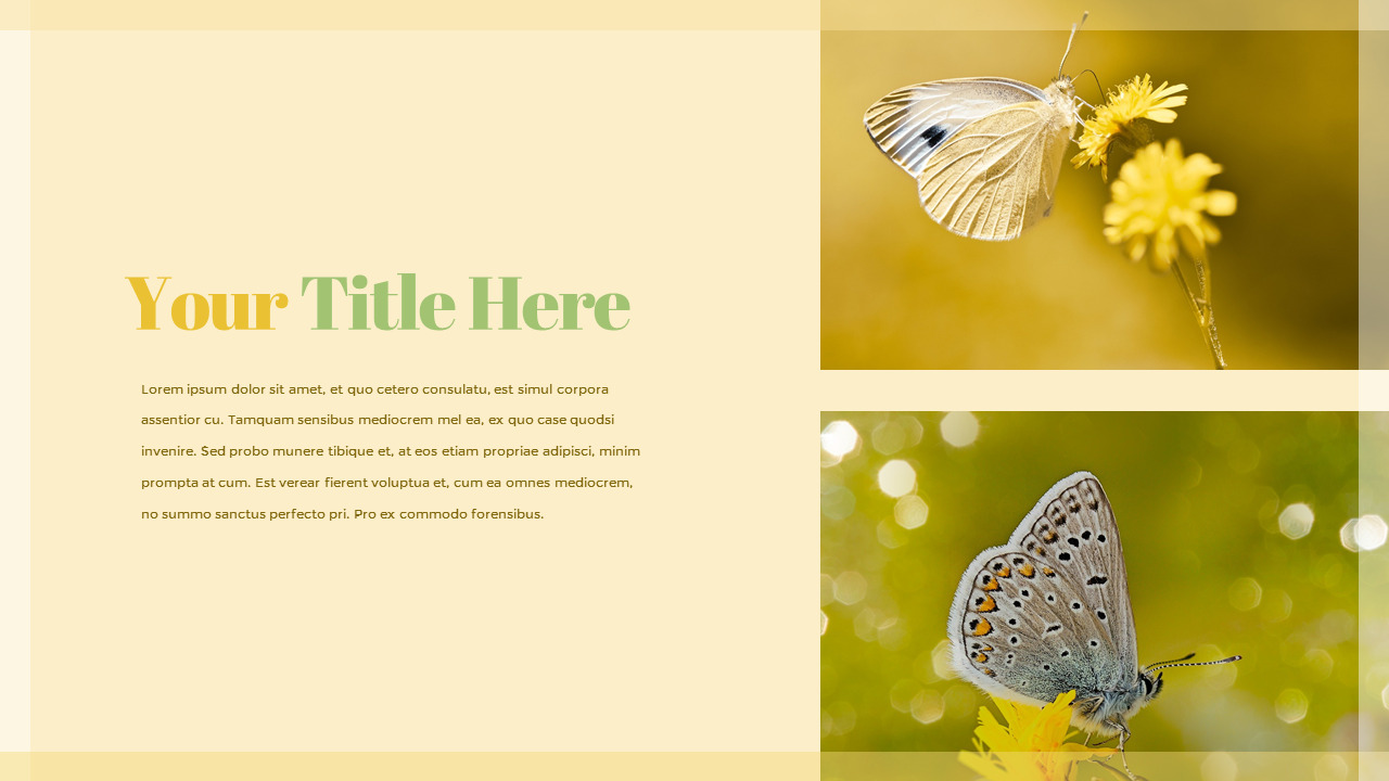 Butterfly Google presentation|Lifestyle|Slides