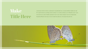 Butterfly Google presentation|Lifestyle|Slides