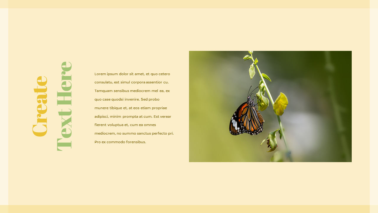 Butterfly Google presentation|Lifestyle|Slides