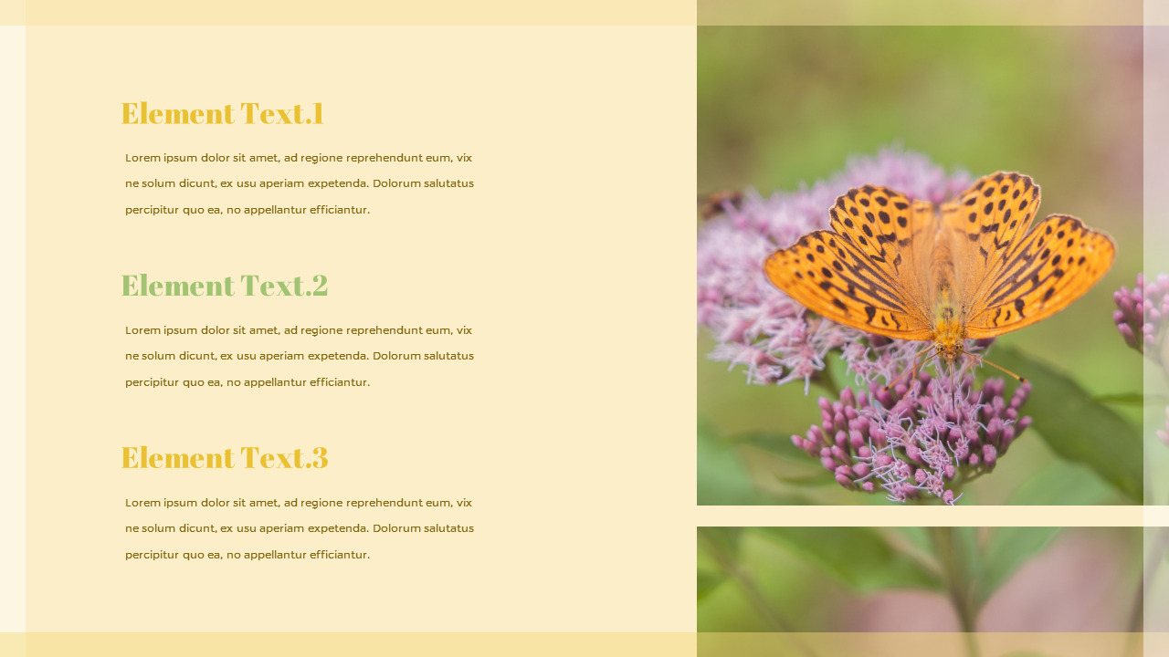 Butterfly Google presentation|Lifestyle|Slides