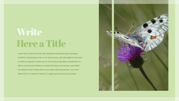 Butterfly Google presentation|Lifestyle|Slides